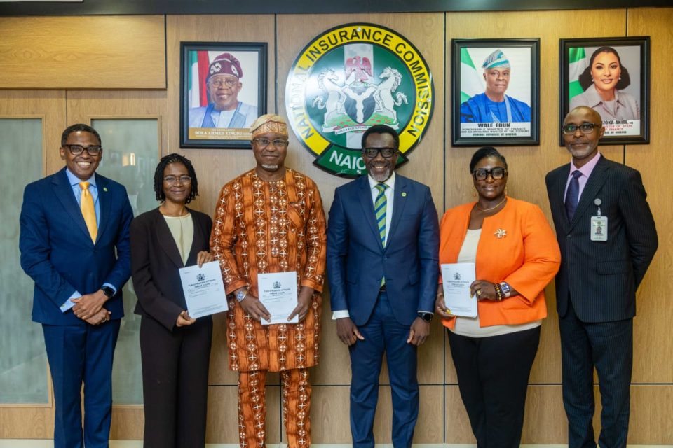 Nigeria: NAICOM Sets Up Working Groups To Drive NIIRA 2025 ...